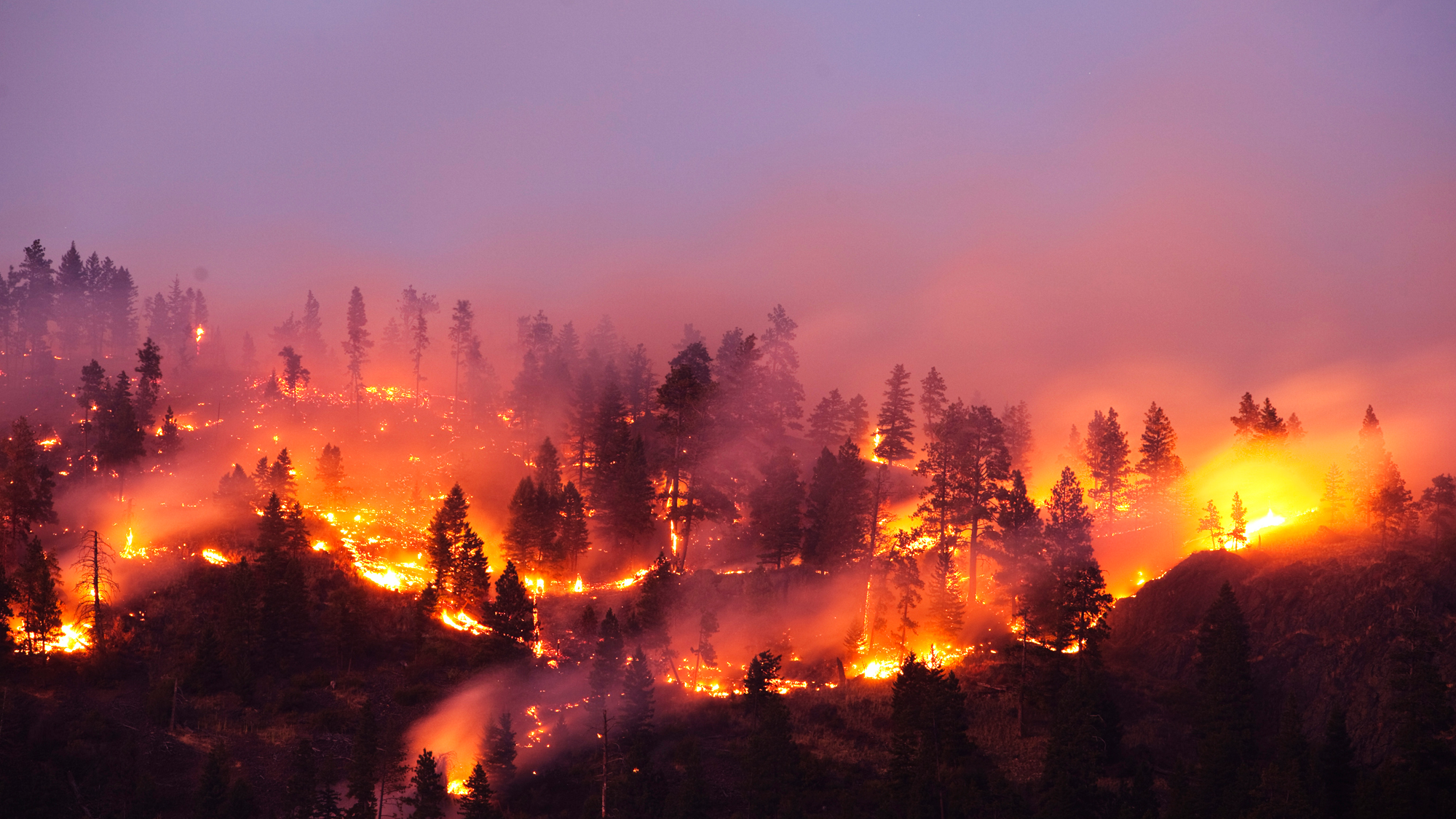 Wildfire Preparedness | HUB International