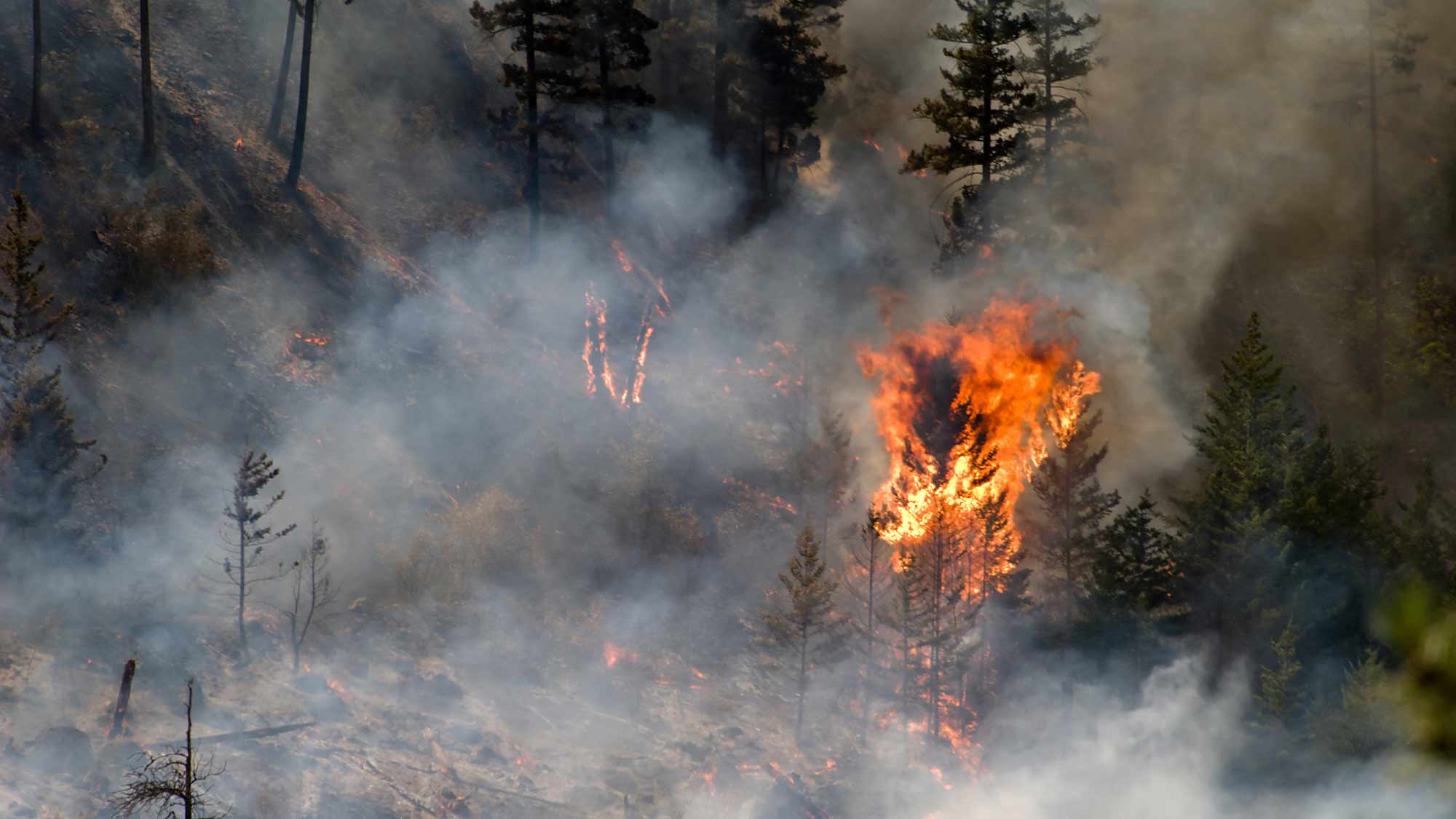 Natural Disaster Resources | HUB International