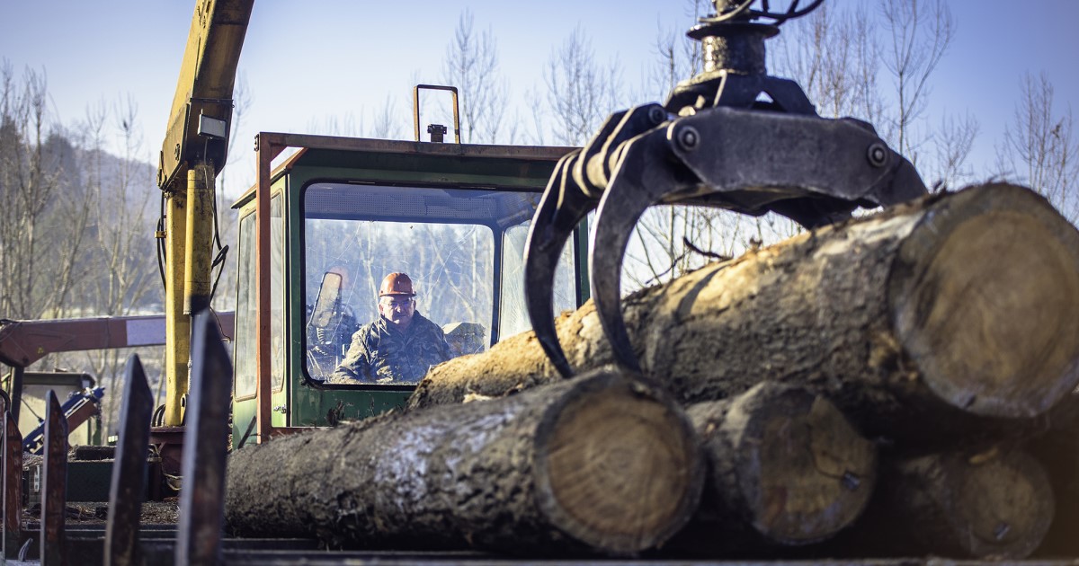 Logging Operations Safety | HUB International