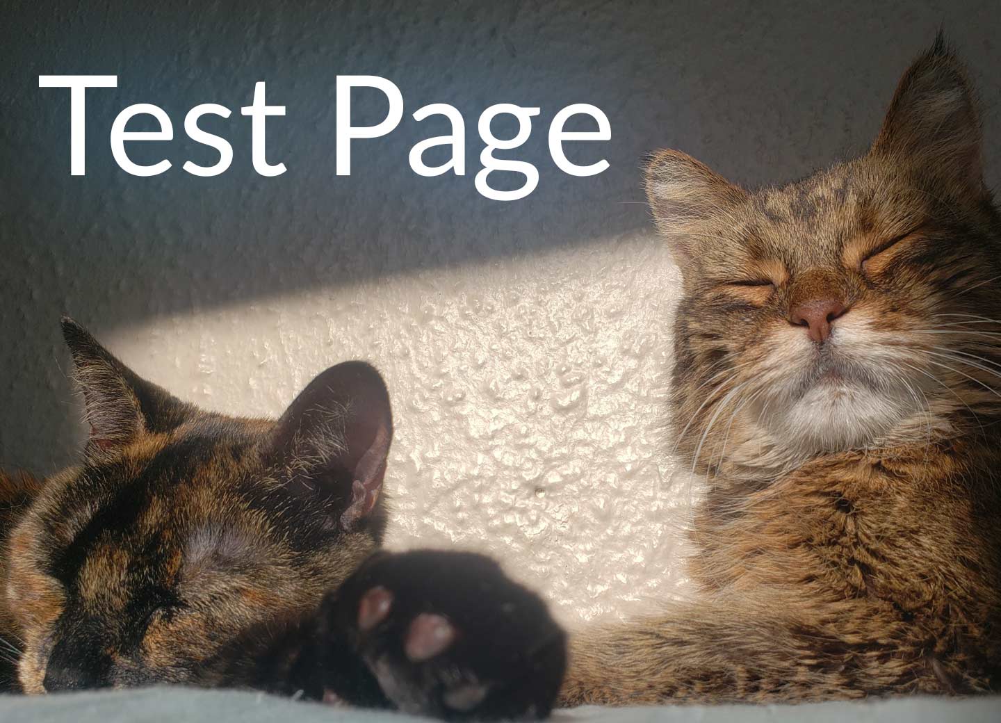 Pop Out Blade Ceros Test | HUB International