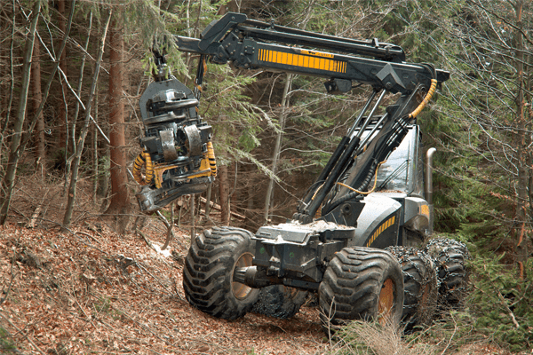 Forestry Contractor Insurance | HUB International